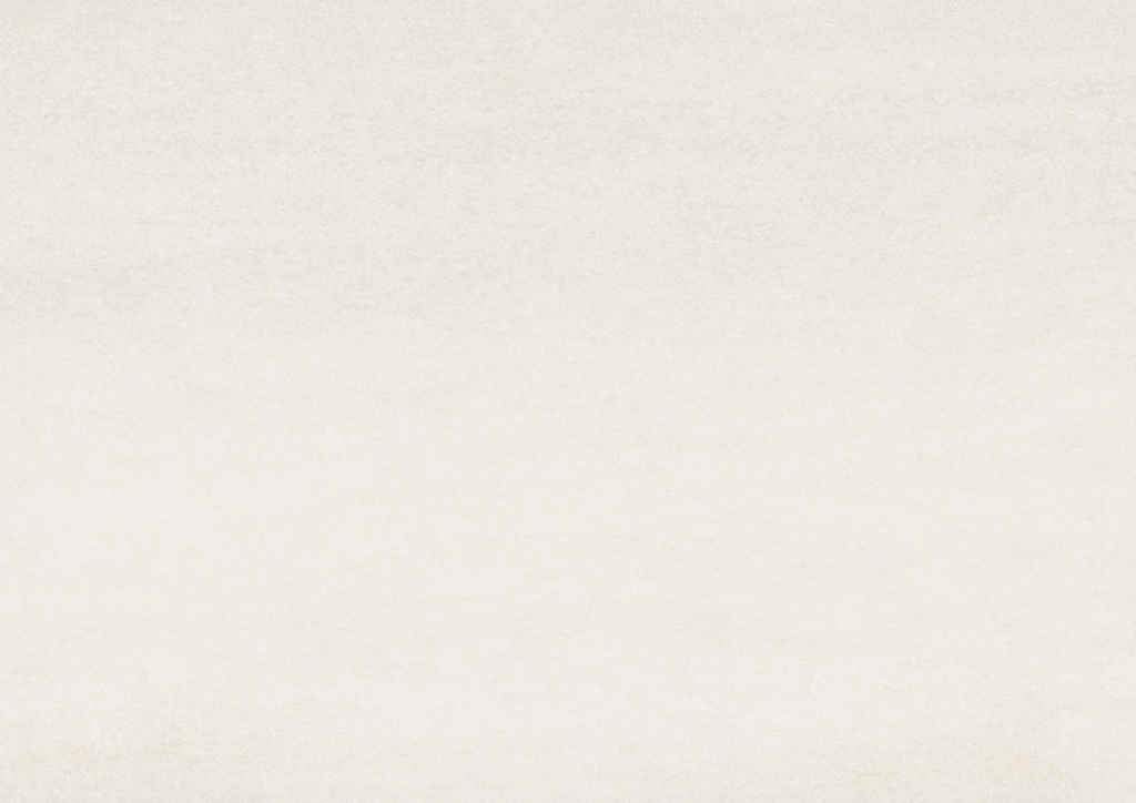 Monument 24x48 White Matte Porcelain Tile – Tile Market of Delaware