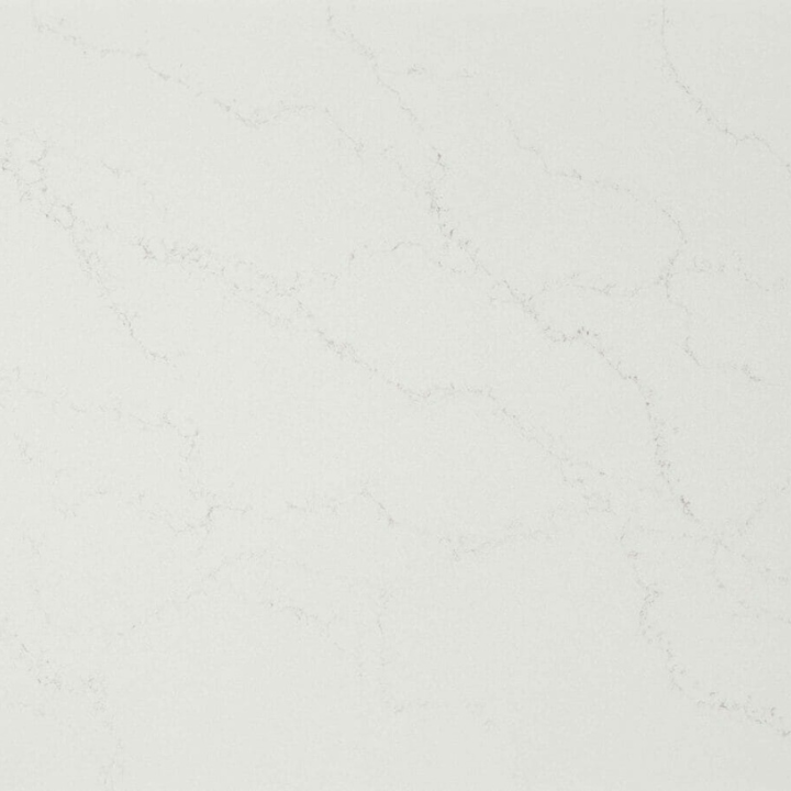 Palm Shade Outdoor Quartz by Caesarstone | Tile Market of Delaware