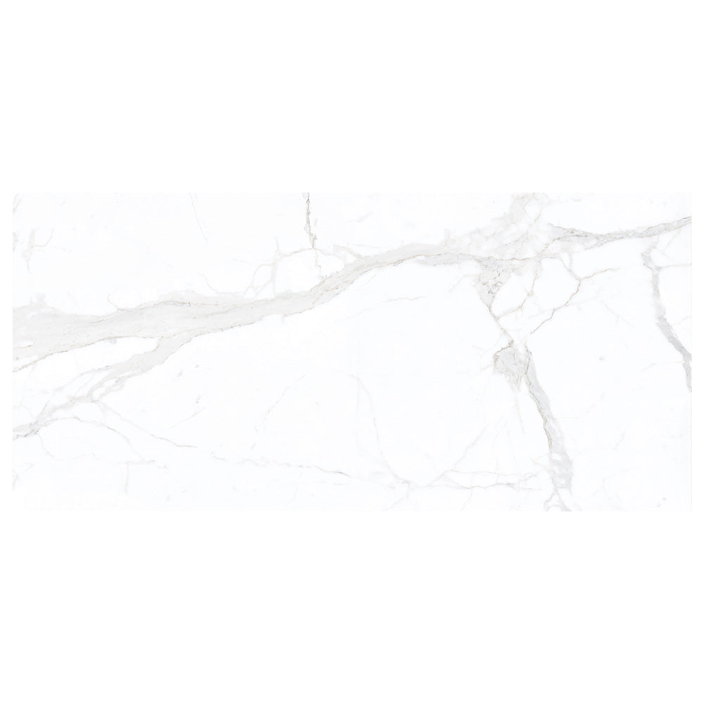 Dolcissima Calacatta White Honed Porcelain Slab – Tile Market of Delaware
