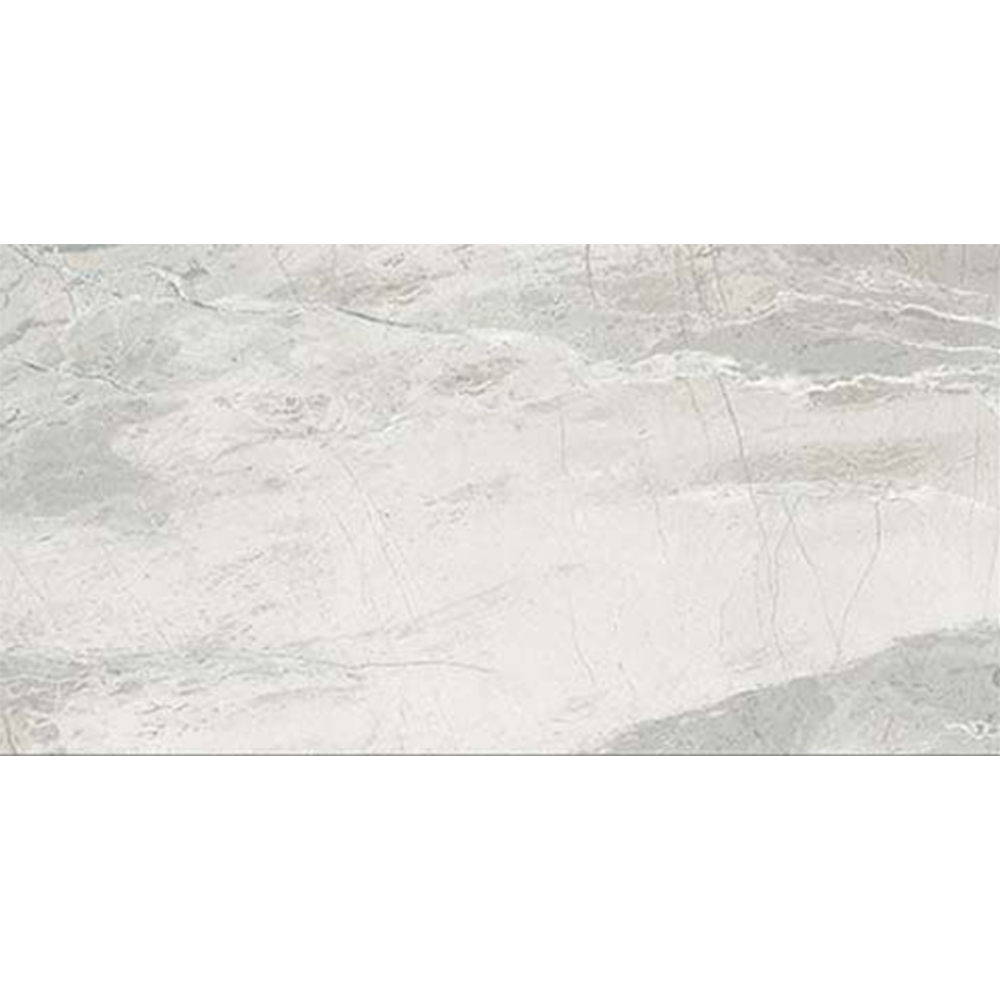 Absolute 12x24 White | Tile Market of Delaware