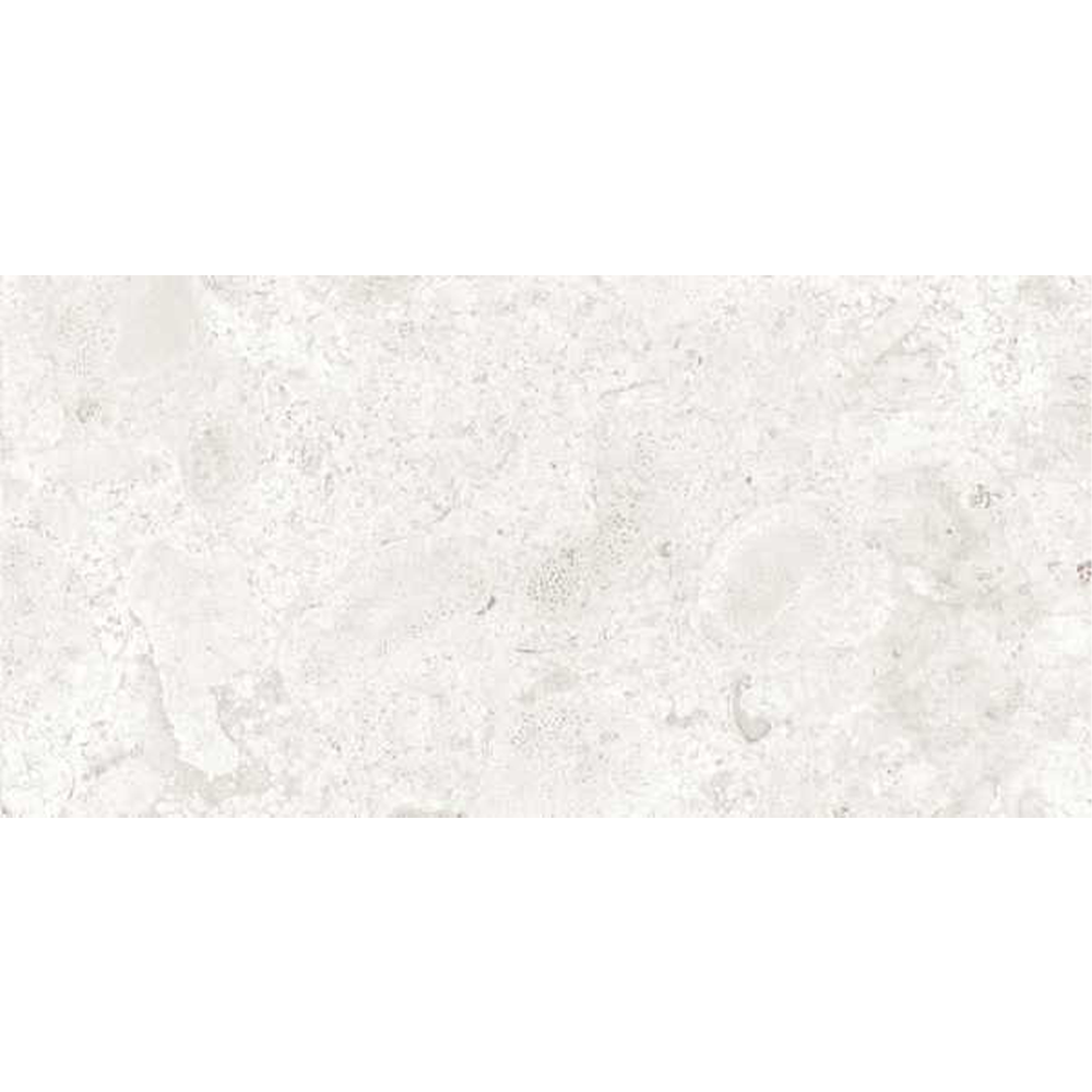 Roman 12x24 Perla | Tile Market of Delaware