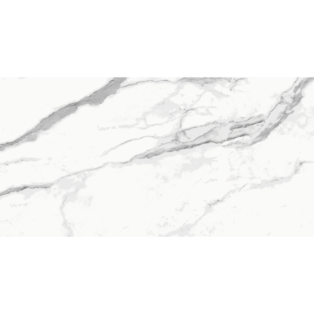 Eternity 12x24 Polished White | Tile Market of Delaware