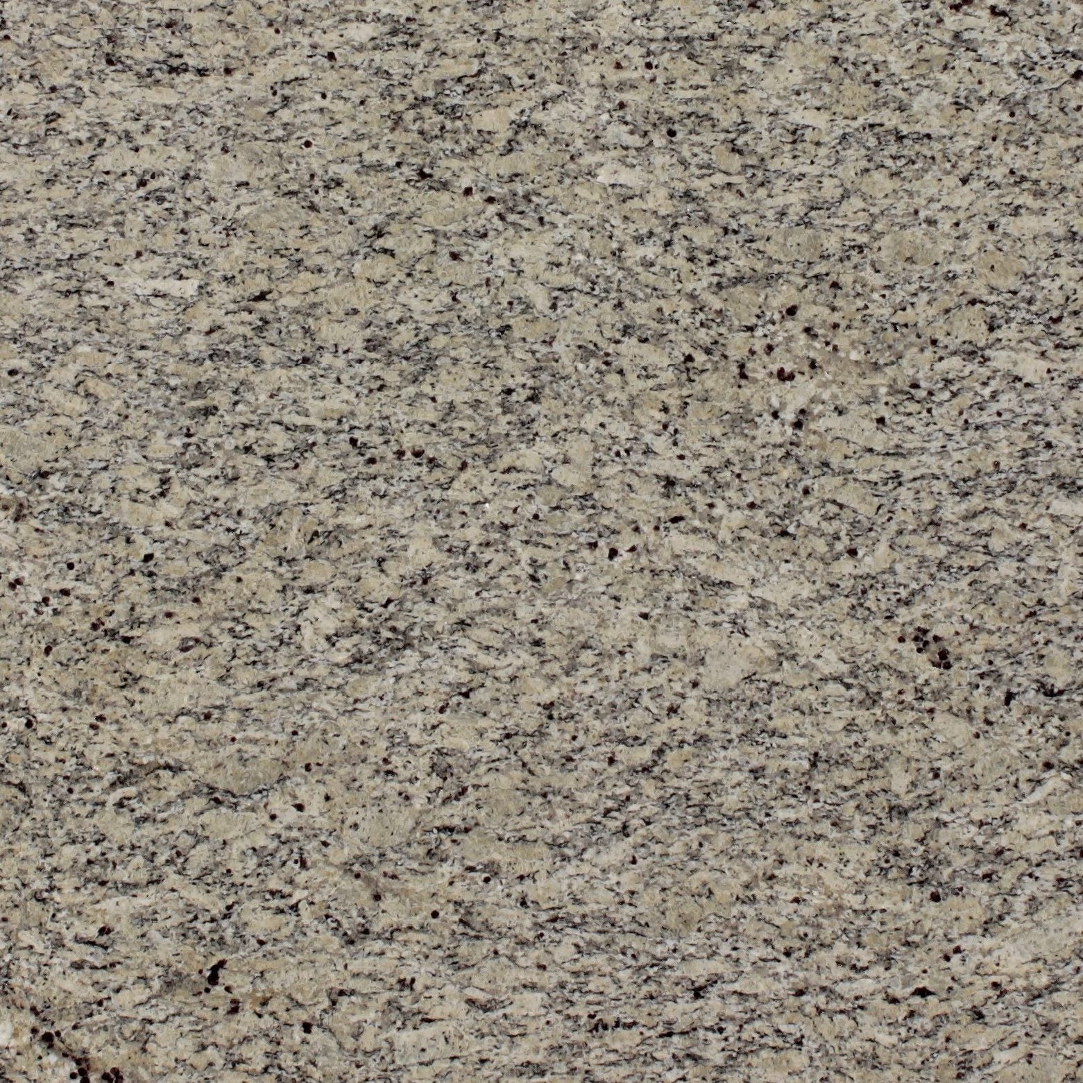 Santa Cecelia Light Granite | Tile Market of Delaware